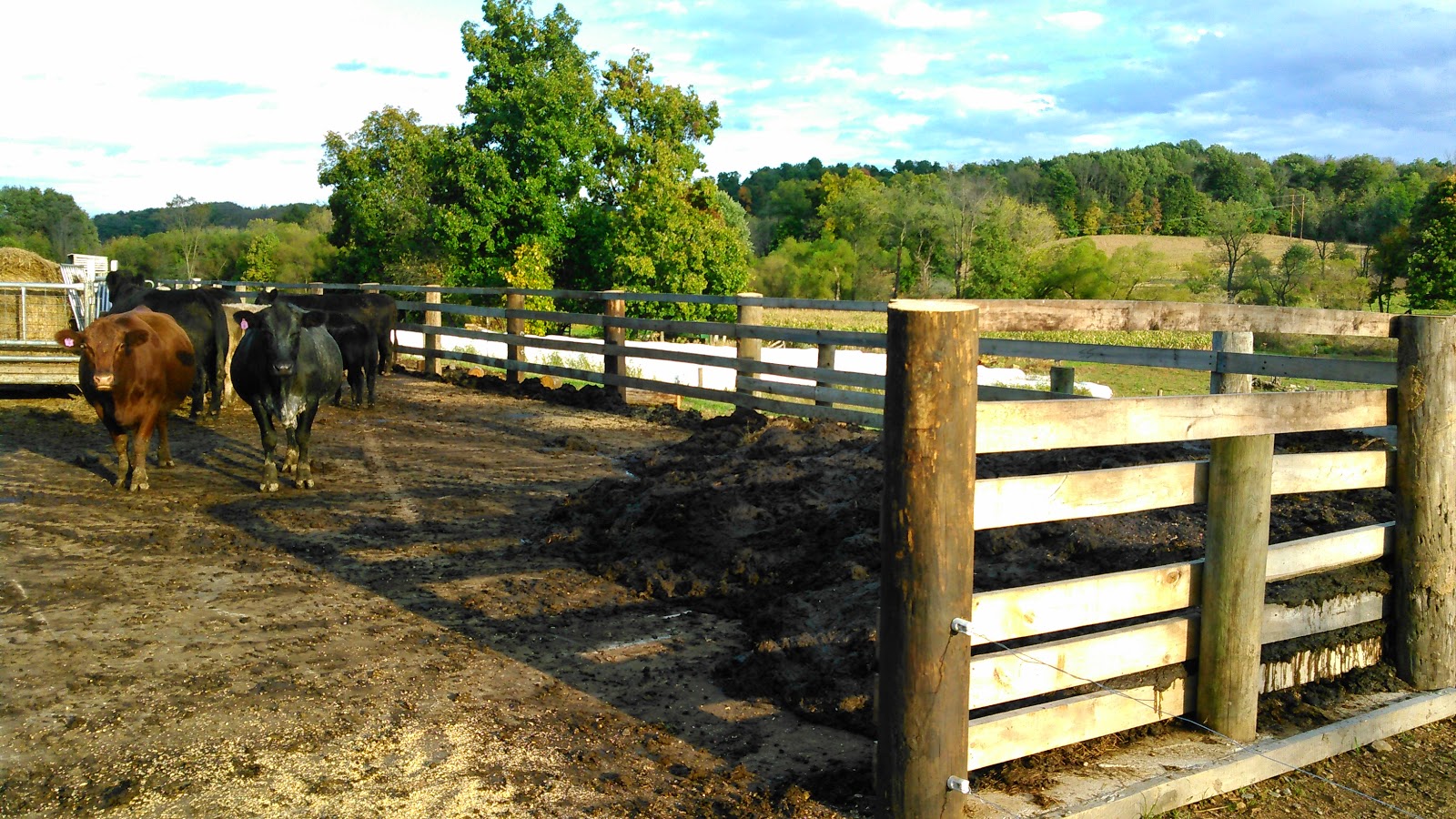 Conser Run Report: Corral is almost complete.